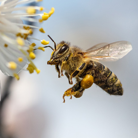 LOIM’s holistiQ joins Nature Action 100 stewardship initiative ...